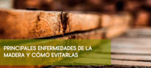 Principales enfermedades de la madera y cómo evitarlas – Bordón