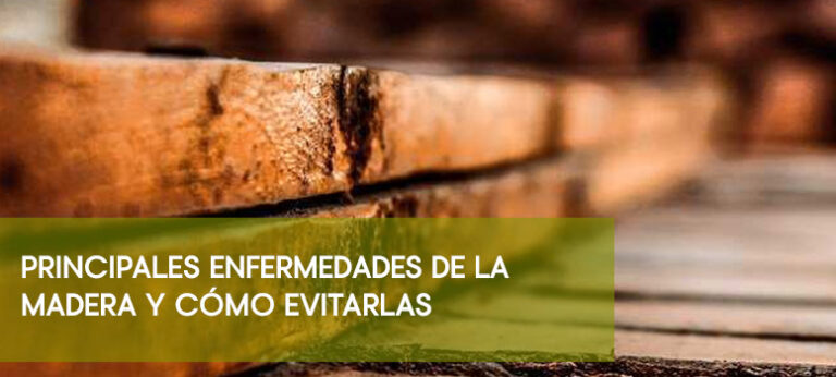 Principales enfermedades de la madera y cómo evitarlas – Bordón
